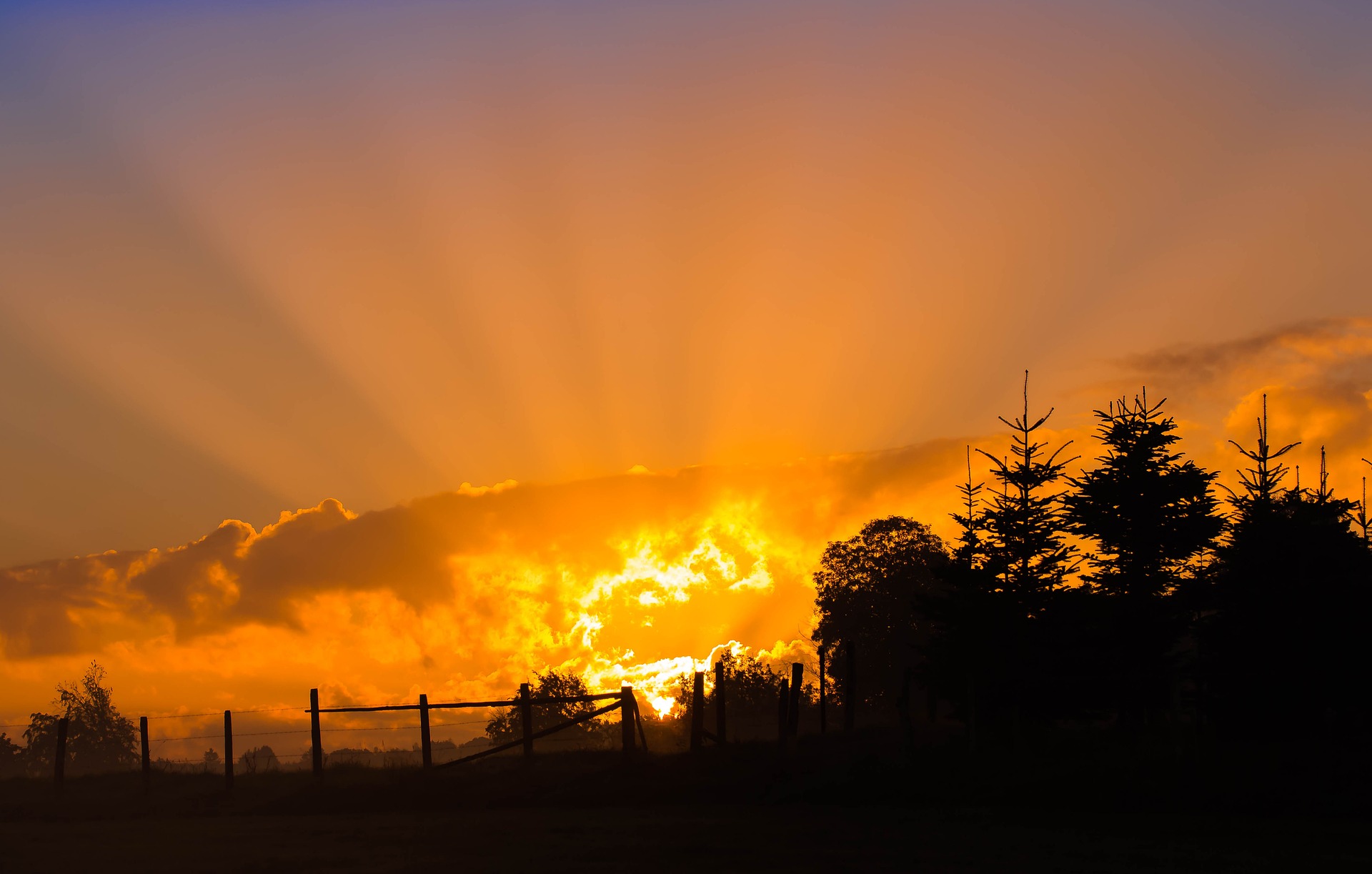 Rejoice! It’s a New Year! – Personal Parables